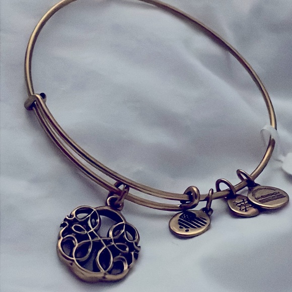 Alex and Ani | Jewelry | Nwt Alex Ani Path Of Life Bracelet W Rafaelian Gold Finish | Poshmark